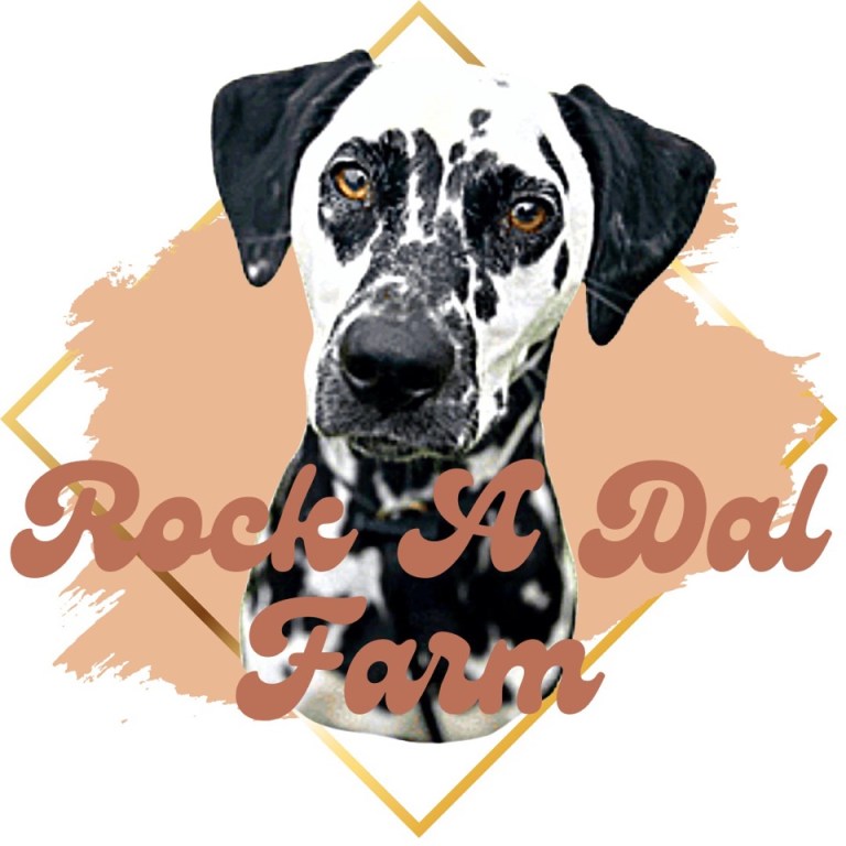 RockADal Homepage – Rock A Dalmatian Farm
